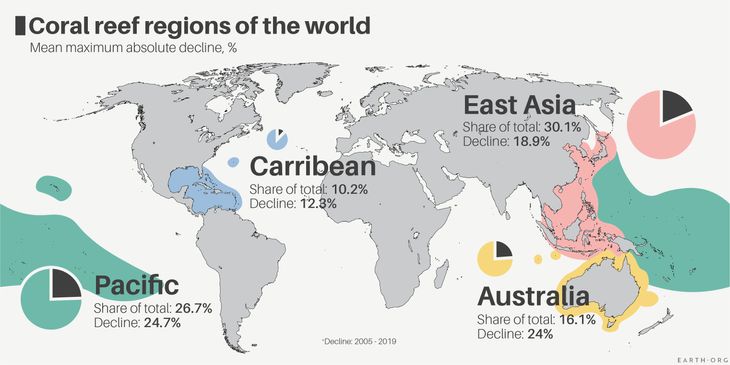 The State of our Coral Reefs in 2020 | Earth.Org