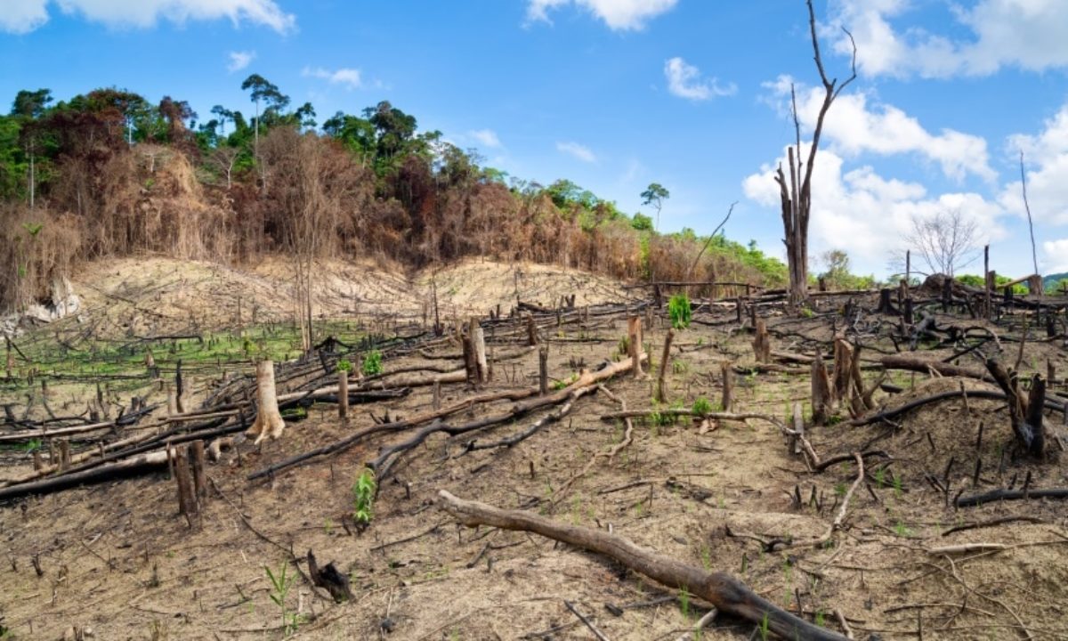 Tragedy Of The Commons Graph