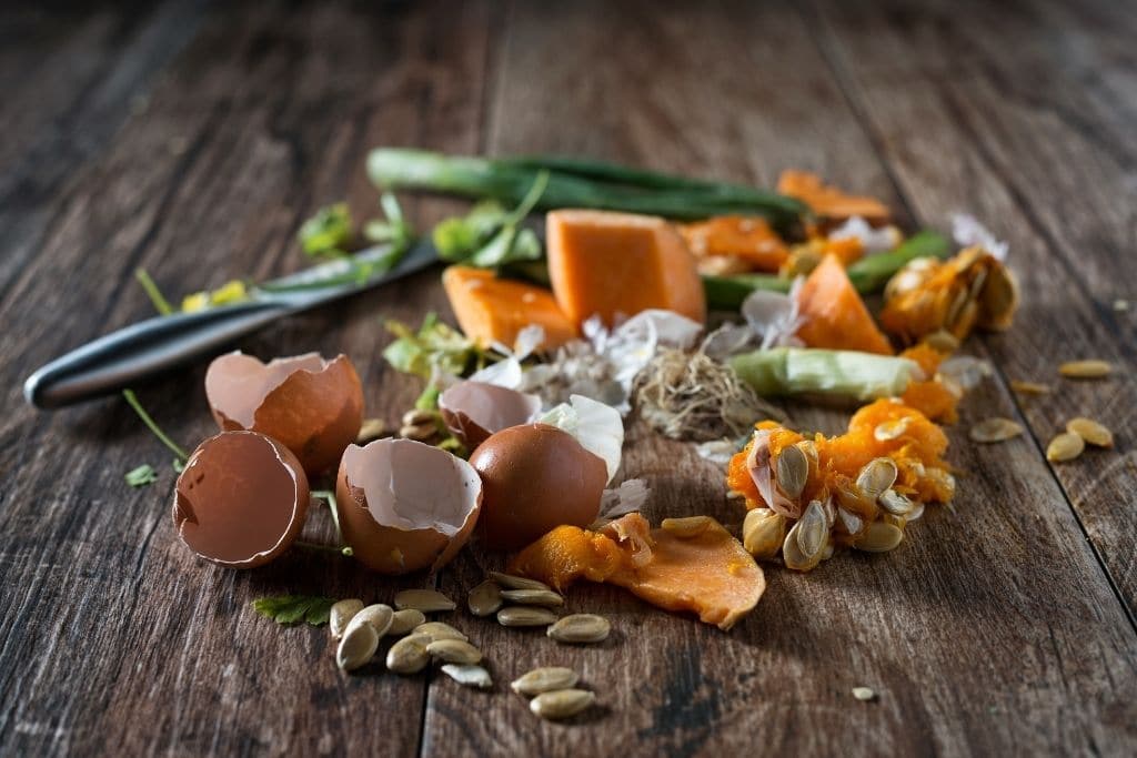 Explainer: What Is Food Waste? | Earth.Org