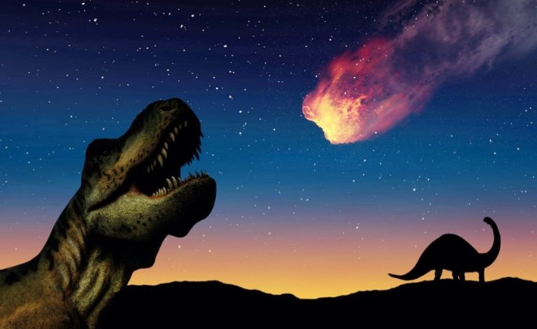 The World's Mass Extinction Events, Explained | Earth.Org