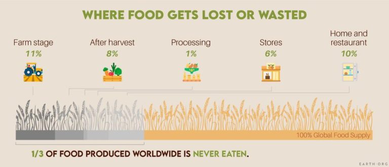 Explainer: What Is Food Waste? | Earth.Org