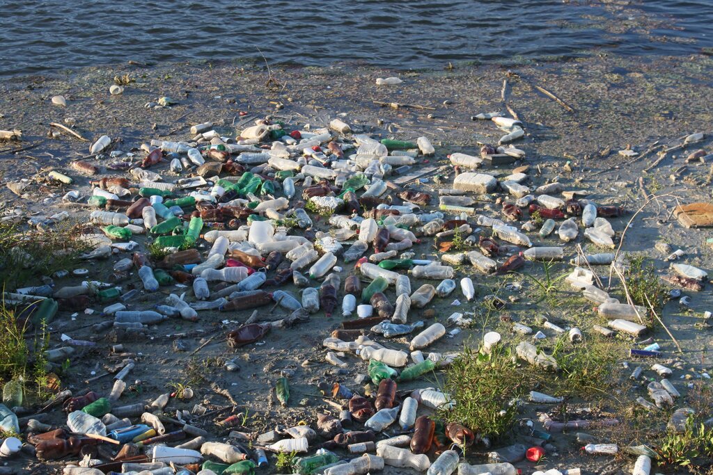 US is World’s Biggest Contributor to Plastic Waste, Report Finds ...