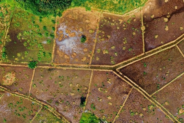 How Does Food Waste Affect the Environment? | Earth.Org
