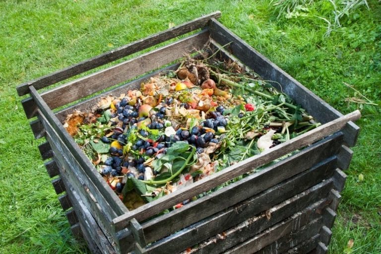 Composting Food to Reduce Food Waste | Earth.Org