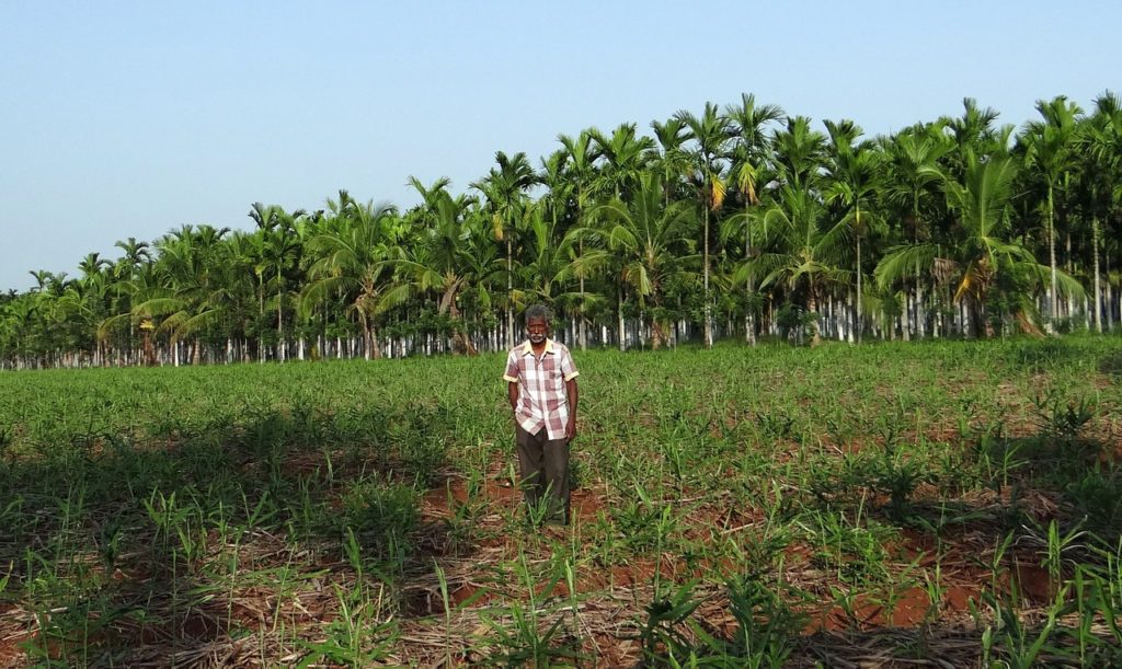 All You Need To Know About Endangered Plants Species | Earth.Org