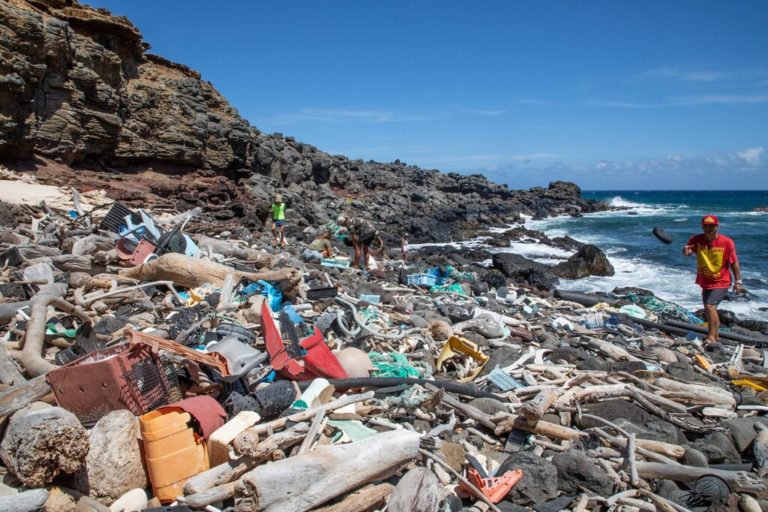 Plastic Pollution in Hawaii: Environmental Impacts and Solutions ...