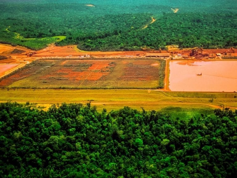 Deforestation in Colombia: An Intricate Story of Conflict and Power ...