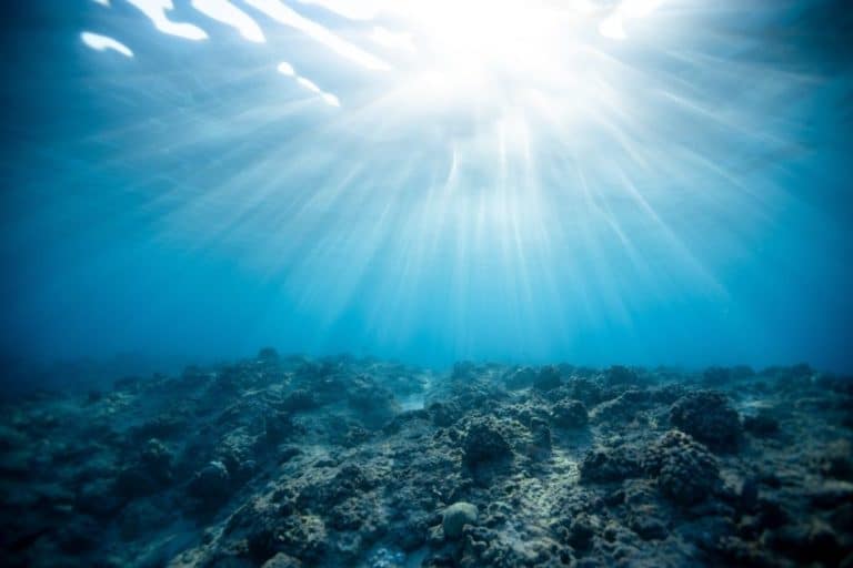 How Does Climate Change Affect the Ocean? | Earth.Org