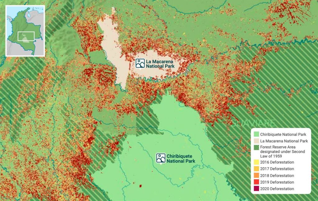 Deforestation in Colombia: An Intricate Story of Conflict and Power ...