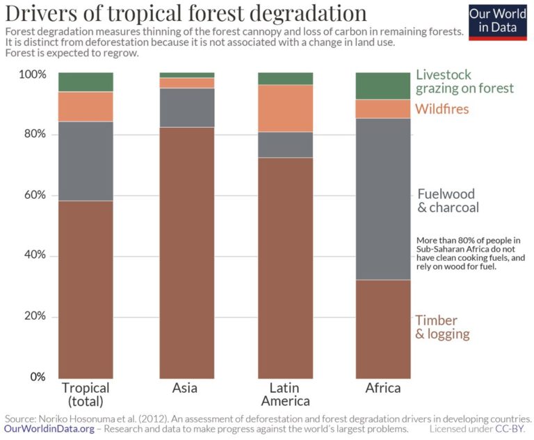 10 Shocking Statistics About Deforestation | Earth.Org