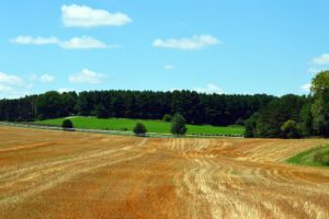 How Abandoned Farmland Restoration Could Help Feed Future Generations ...