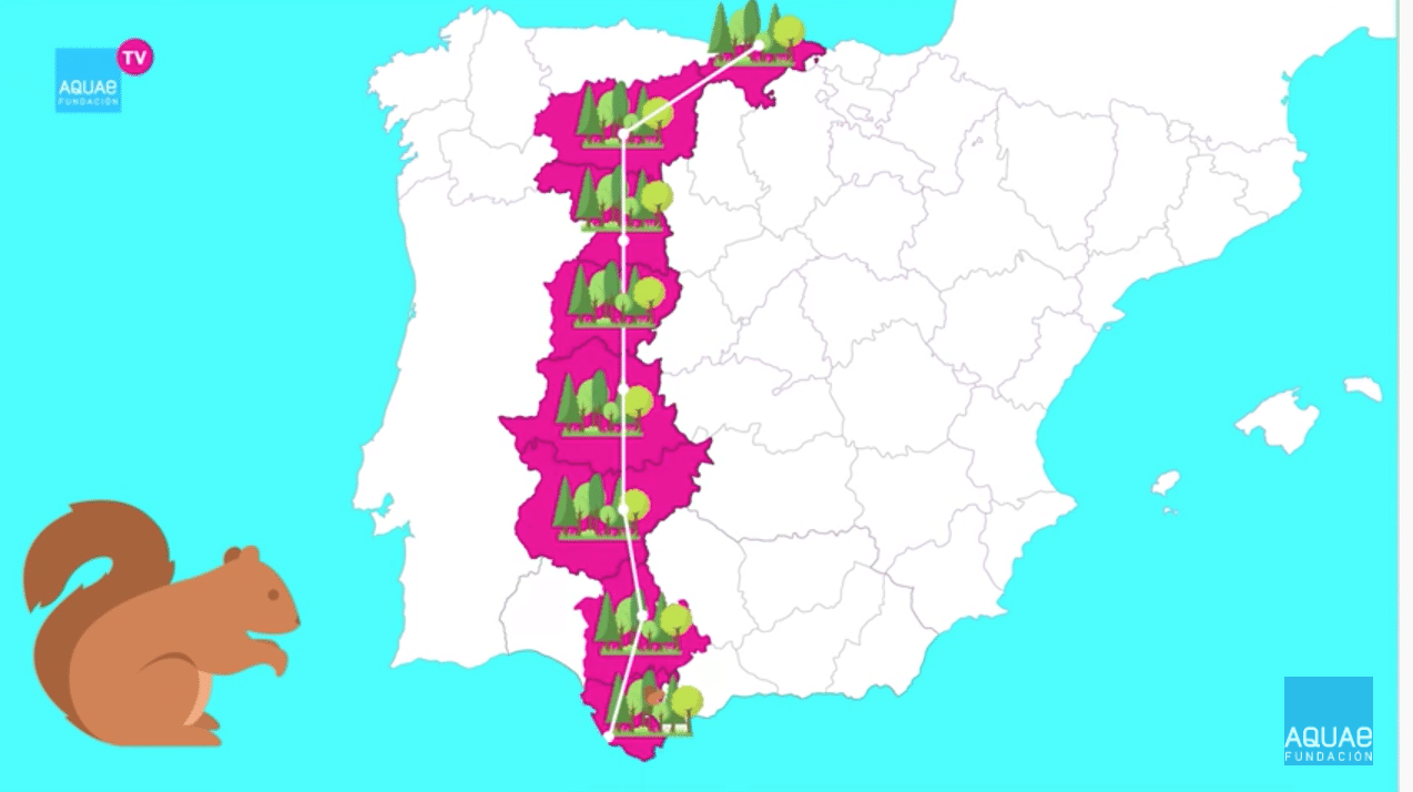 Deforestation in Spain | Earth.Org