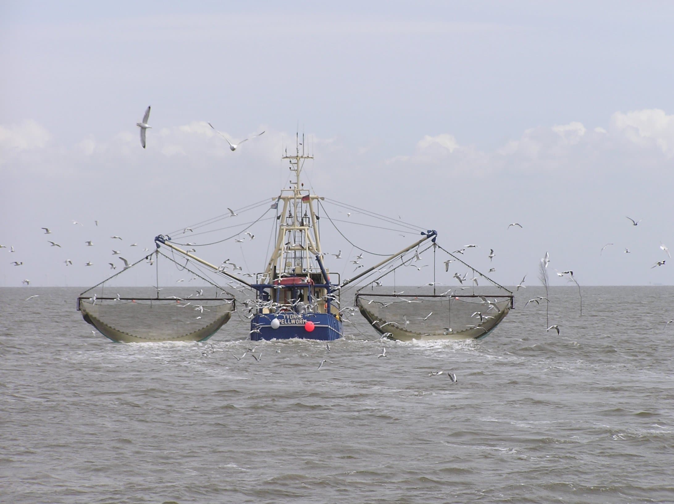 WTO Bans Fishing Subsidies in Historic Deal to Reduce Global ...