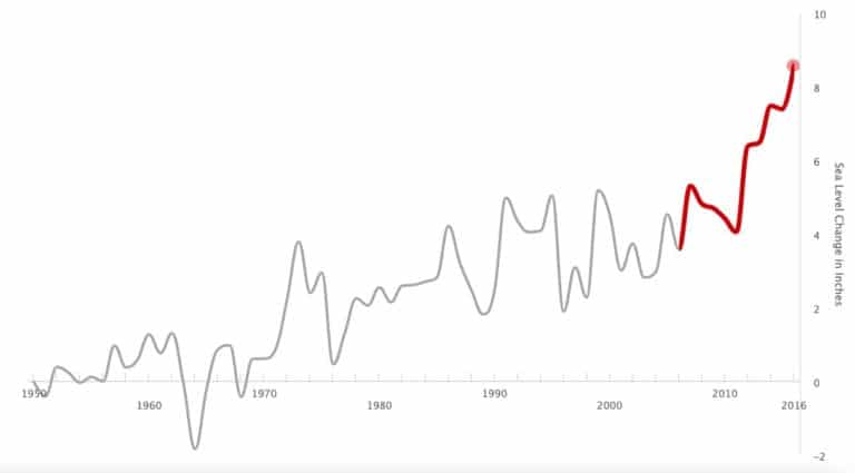 The Rising Threat of Sea Level Rise in Florida | Earth.Org