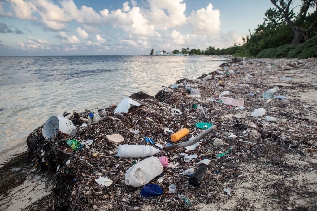 New Law Aims at Drastically Reducing Plastic Pollution in California by ...