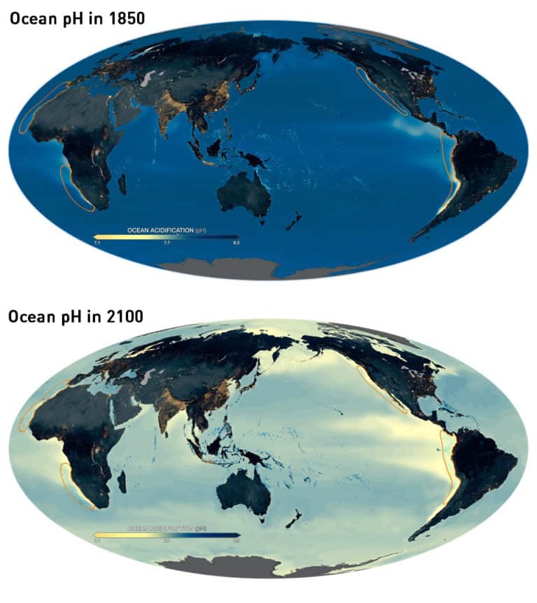 What Is Ocean Acidification? | Earth.Org