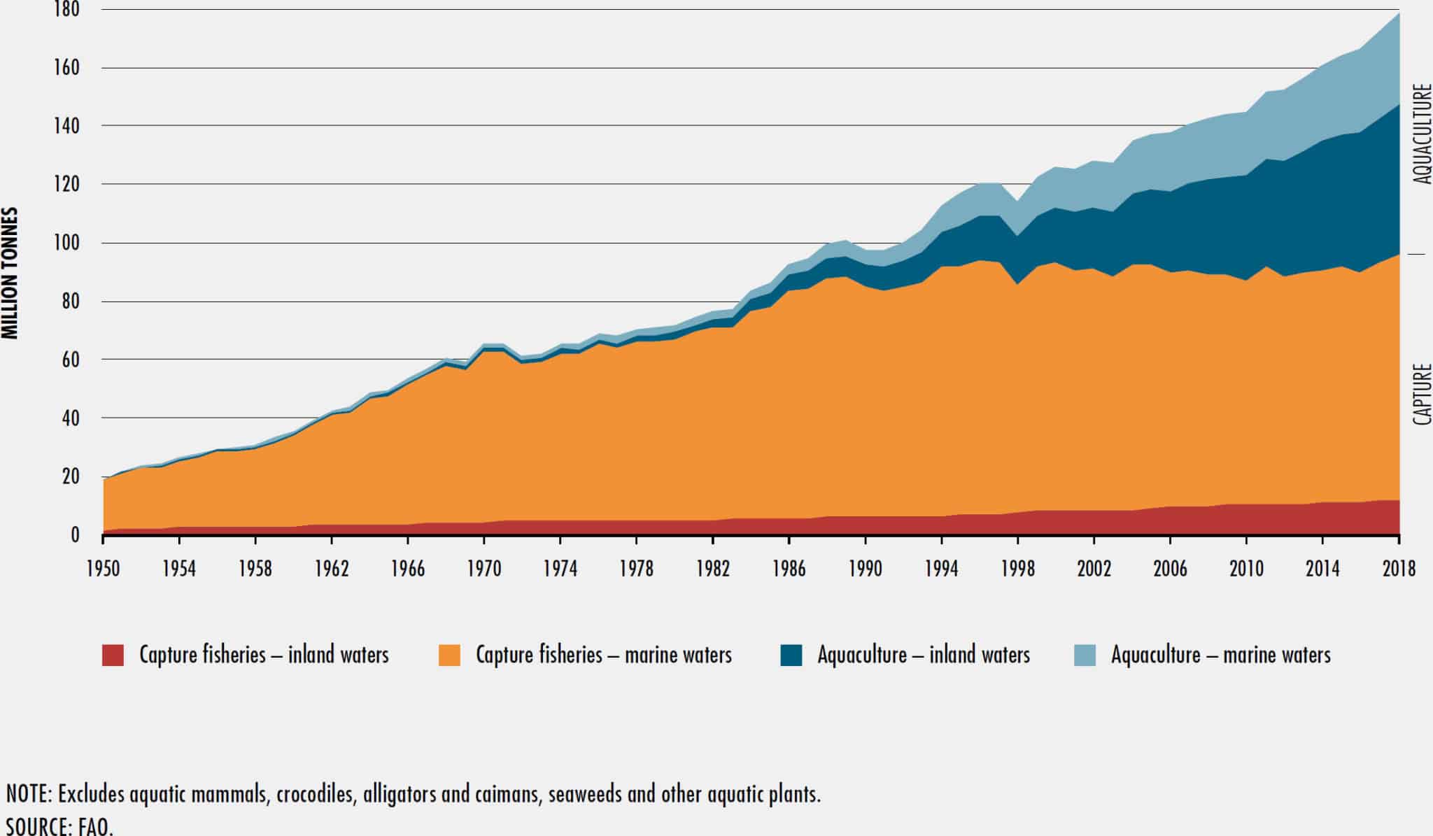 11 Overfishing Statistics and Facts You Should Know About | Earth.Org