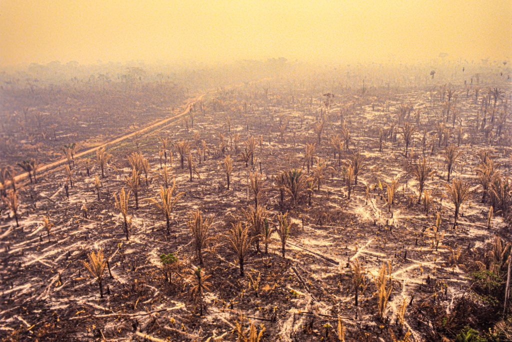 Possibility of Human Extinction Still “Dangerously Unexplored”: Study ...