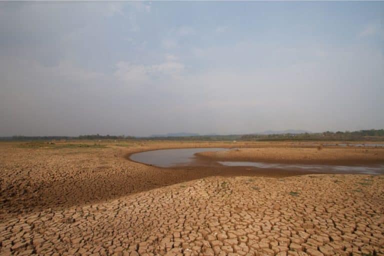 Chile Water Crisis: Causes, Effects, and Solutions | Earth.Org