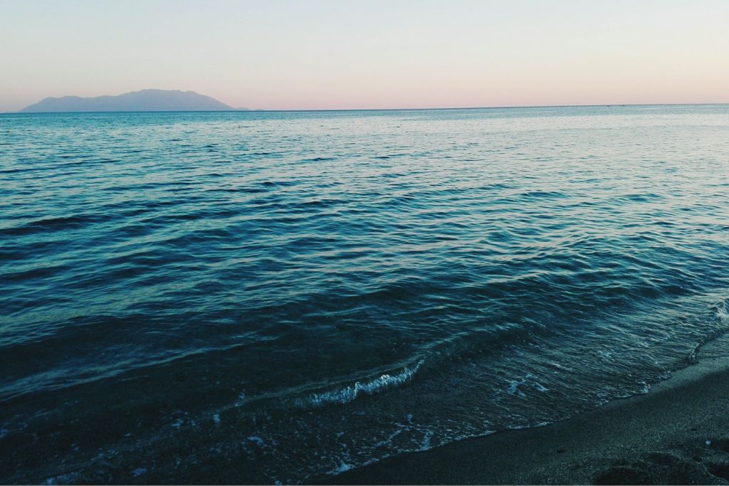 Changing Tides: How Does Ocean Acidification Affect Marine Life ...