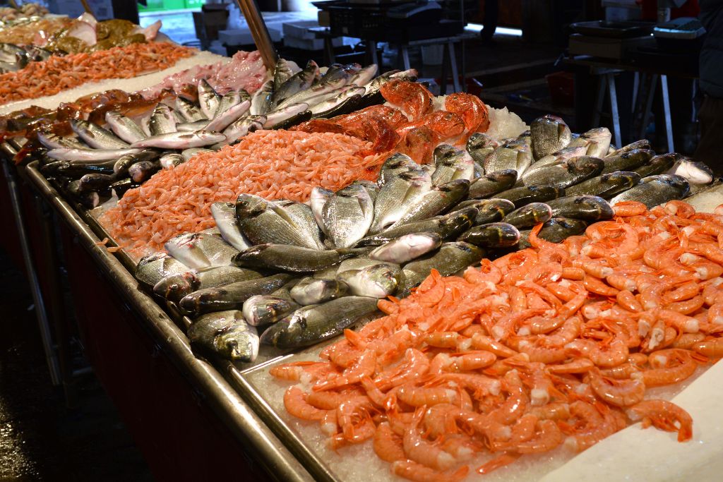 11 Overfishing Statistics and Facts You Should Know About | Earth.Org