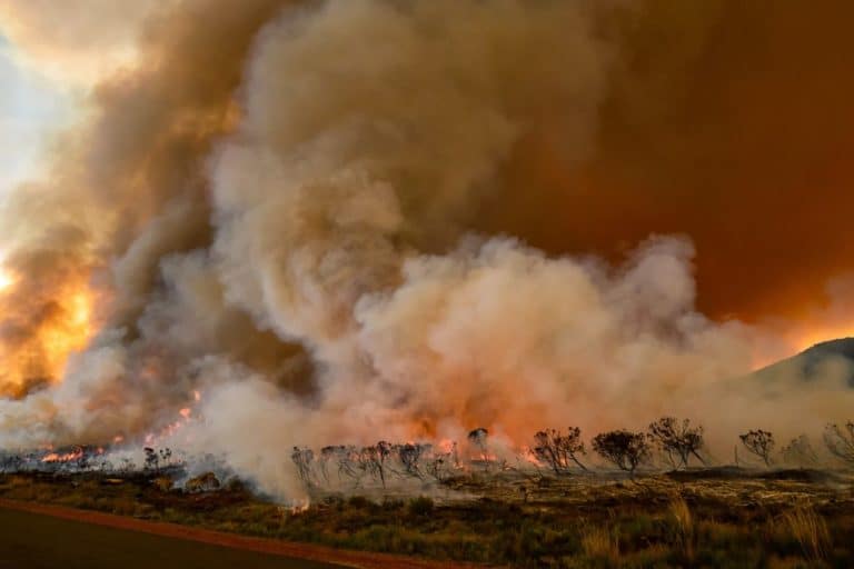 Top 6 Environmental Issues the US Is Facing | Earth.Org