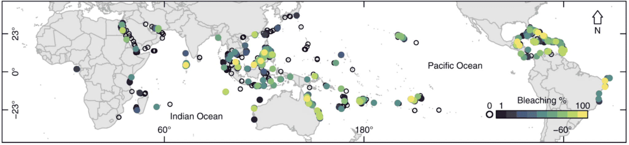 What Are Coral Reefs and Why Are They So Important? | Earth.Org