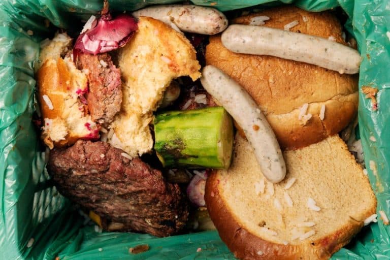 25 Shocking Facts About Food Waste | Earth.Org