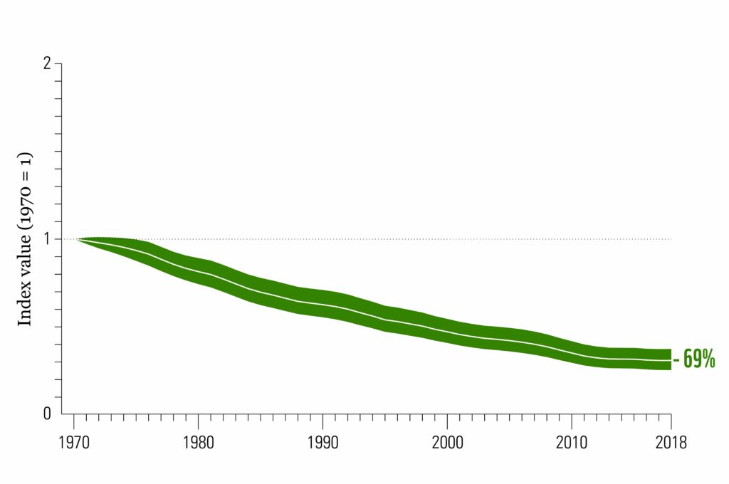 Grim WWF Report Uncovered A Nearly 70% Wildlife Population Decline ...