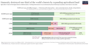 Deforestation and Global Warming: What's the Link? | Earth.Org