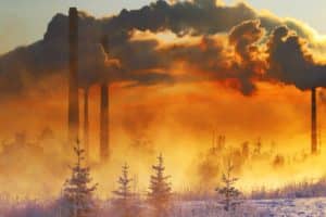 Why We Should Care About Environmental Health | Earth.Org