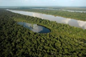 Amazon Rainforest: The Legal Battlefield for Land Ownership and Land ...
