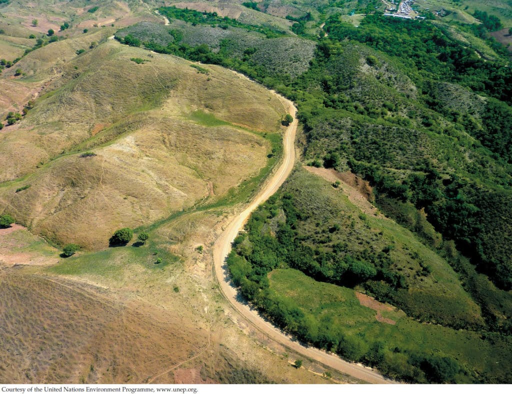 The Struggle to Conserve Threatened Forests in Haiti | Earth.Org