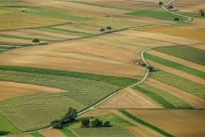 5 Challenges the Agricultural Sector Faces in 2023 | Earth.Org