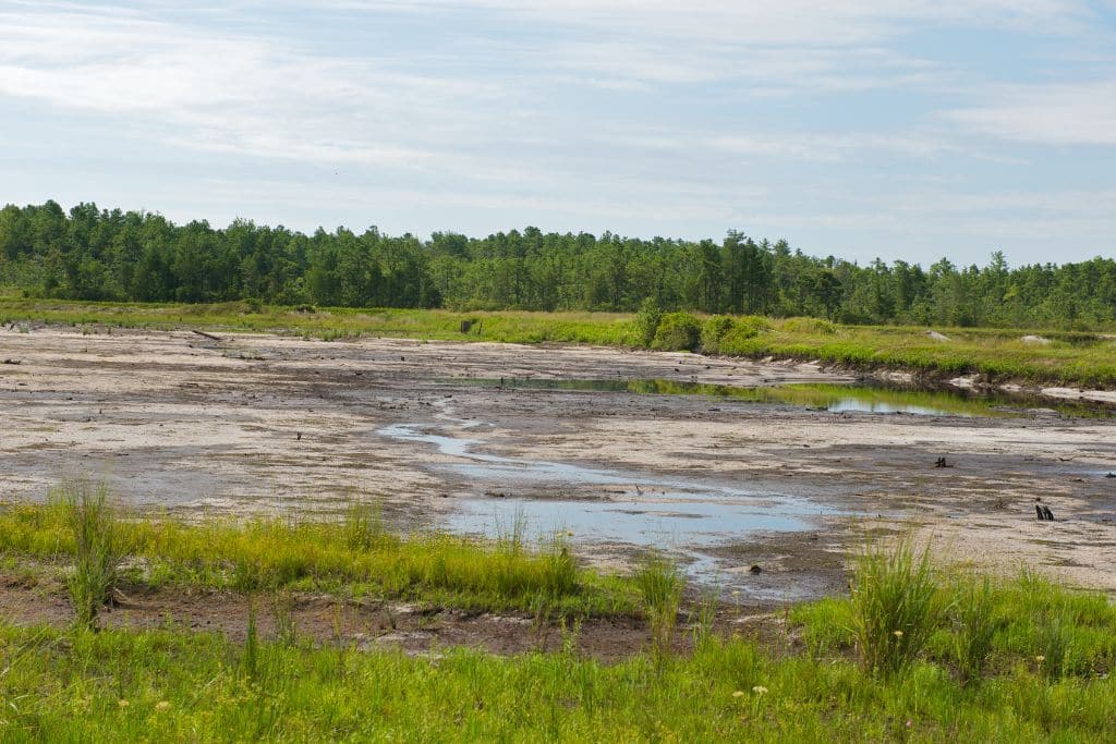 France Announces 'Unprecedented' Water Rationing Scheme Amid Driest ...