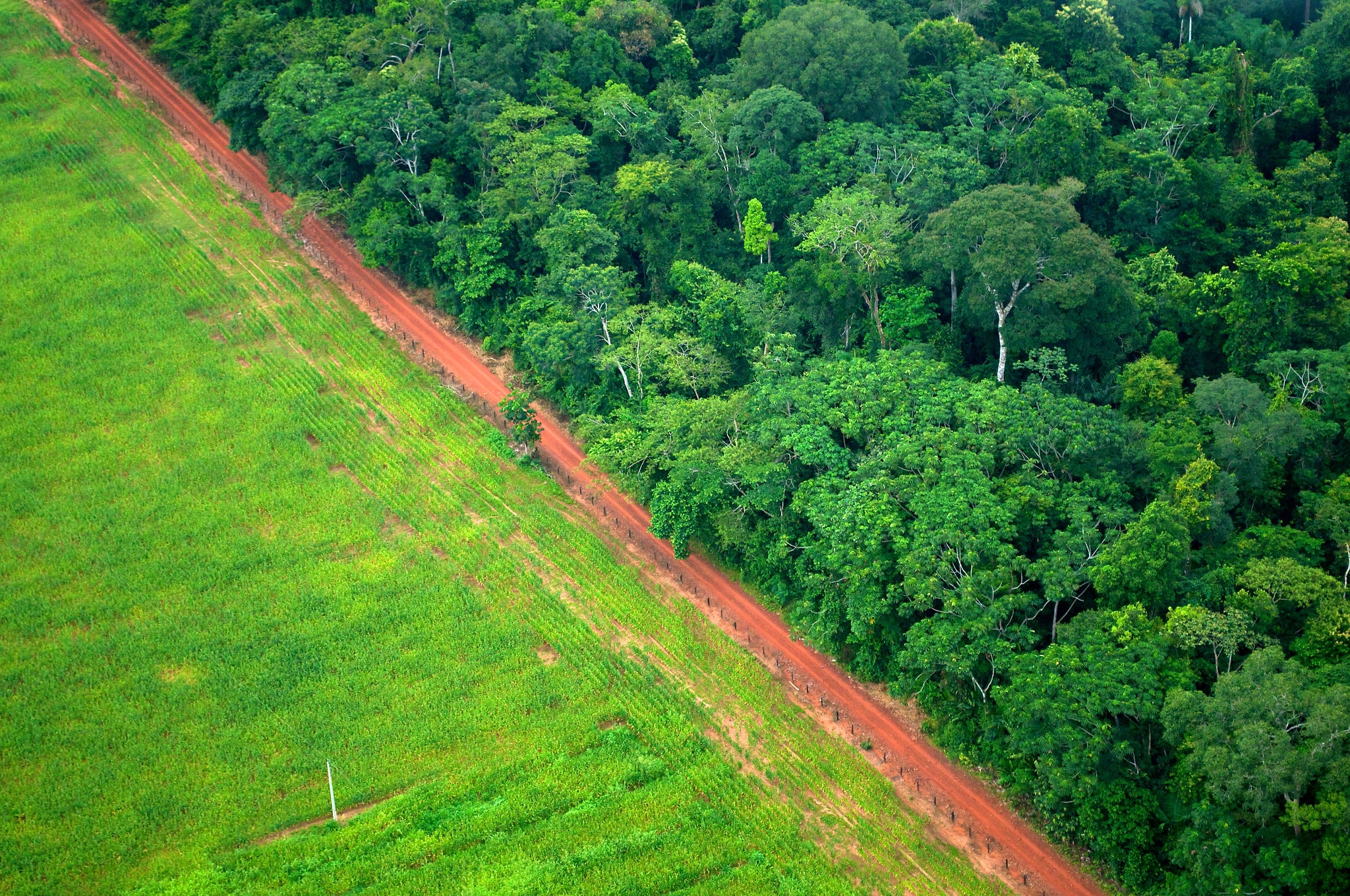 Conservation and the Displacement of Indigenous People | Earth.Org