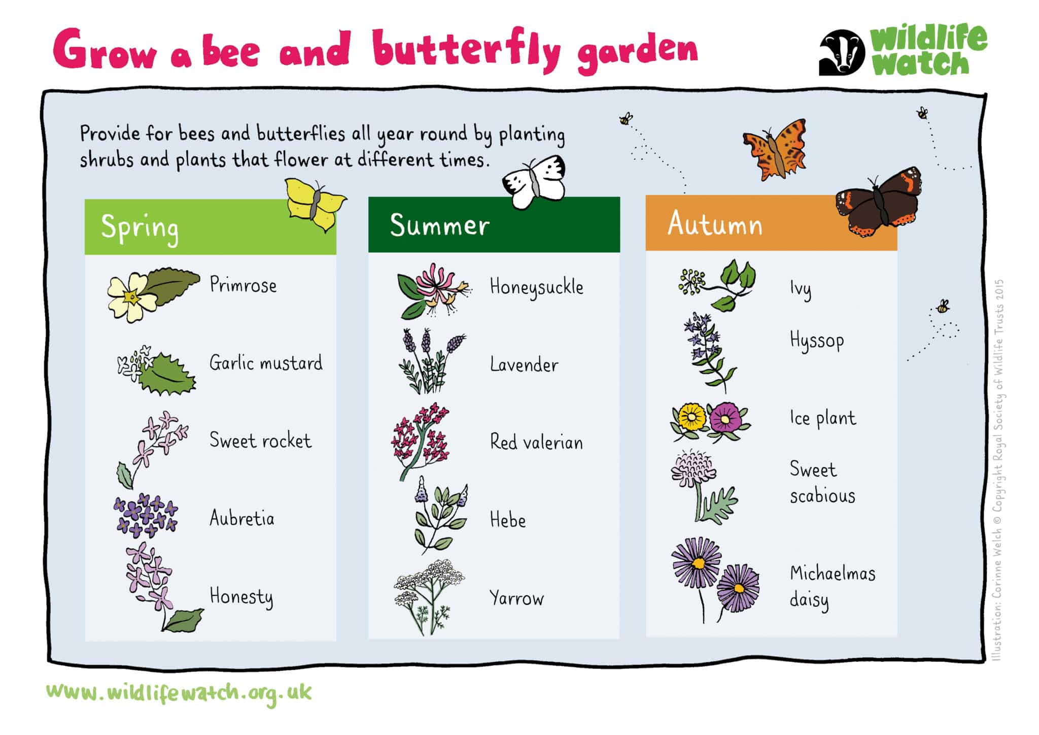 How Does Climate Change Affect Pollinators? | Earth.Org