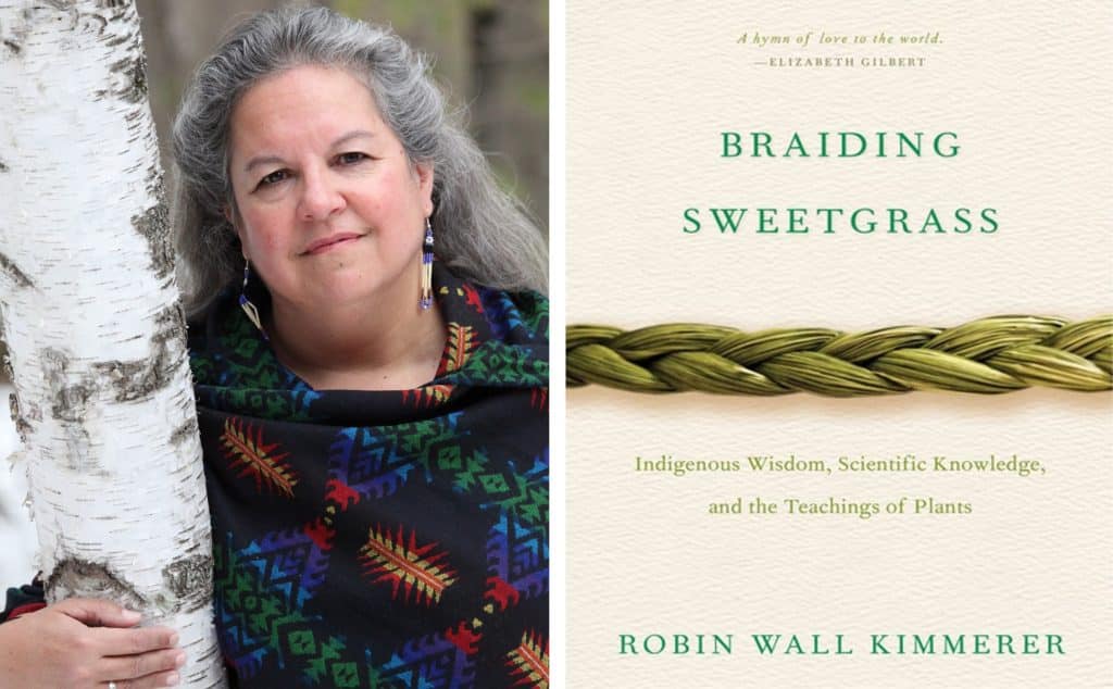Review: 'Braiding Sweetgrass' By Robin Wall Kimmerer | Earth.Org