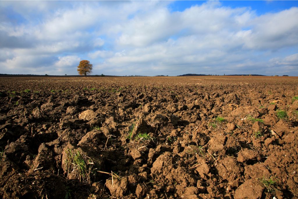 The Role of Soil Organic Carbon in Fighting Climate Change | Earth.Org
