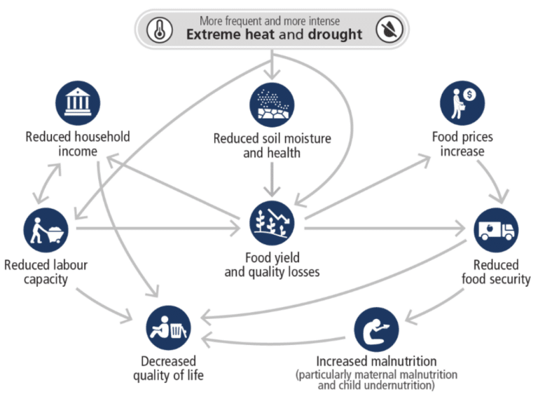 8 Key Findings from the IPCC Sixth Assessment Report | Earth.Org