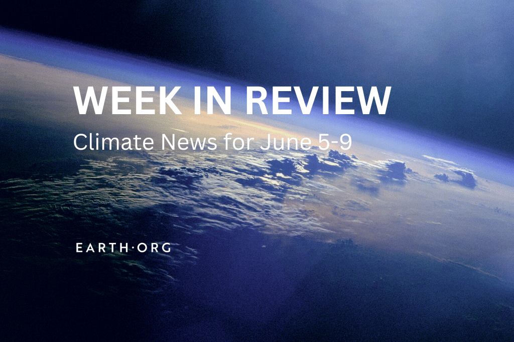 Week in Review: Top Climate News for June 5-9 | Earth.Org