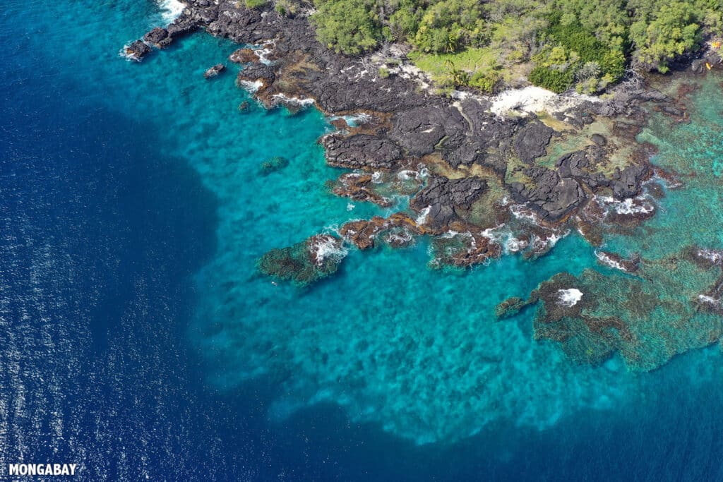 Science and Culture Join Forces to Restore 120 Miles of Hawaiian Reefs ...