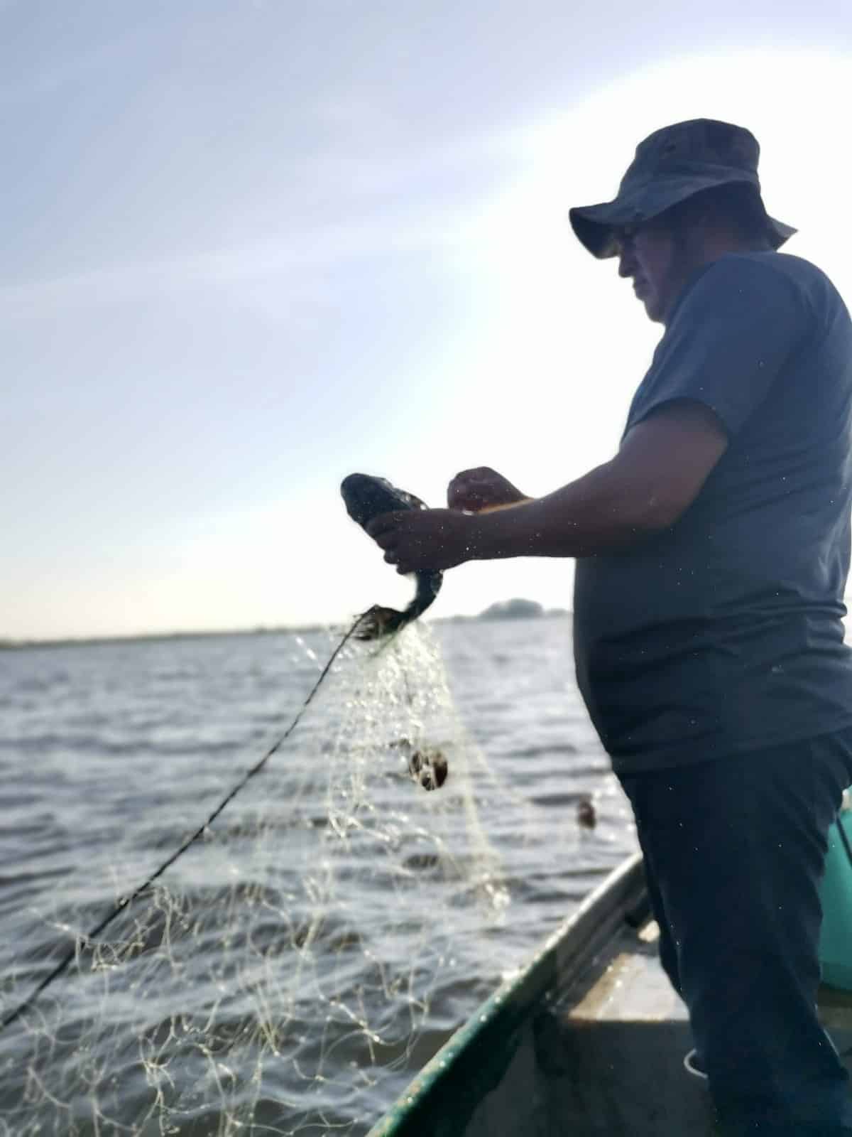 Upcycling Invasive Fish Species: An Interview with Mike Mitchell, CEO ...