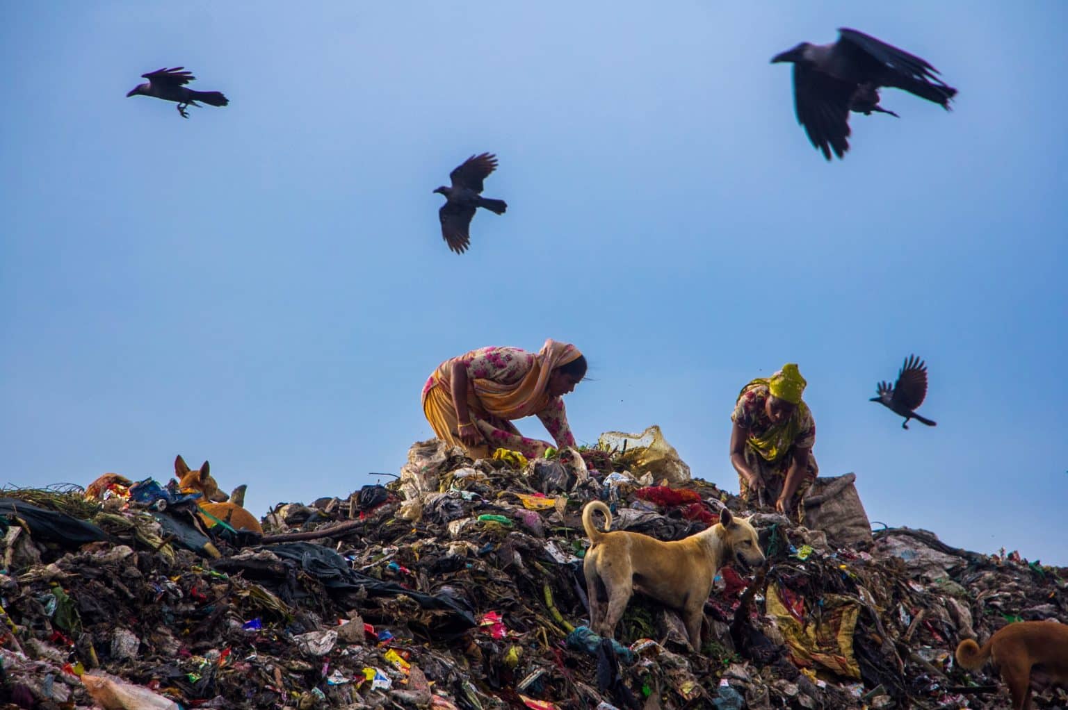Landfill Waste: What Can We Do to Minimise It? | Earth.Org