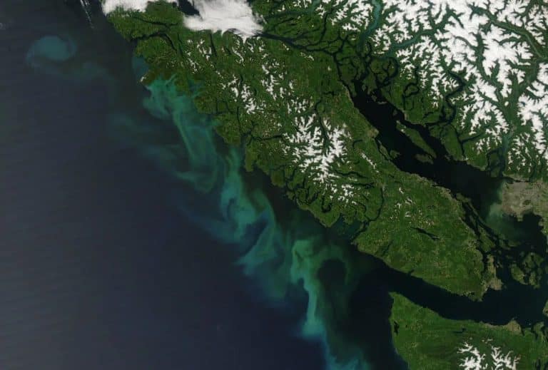 How Does Climate Change Impact the Ocean Colour? | Earth.Org