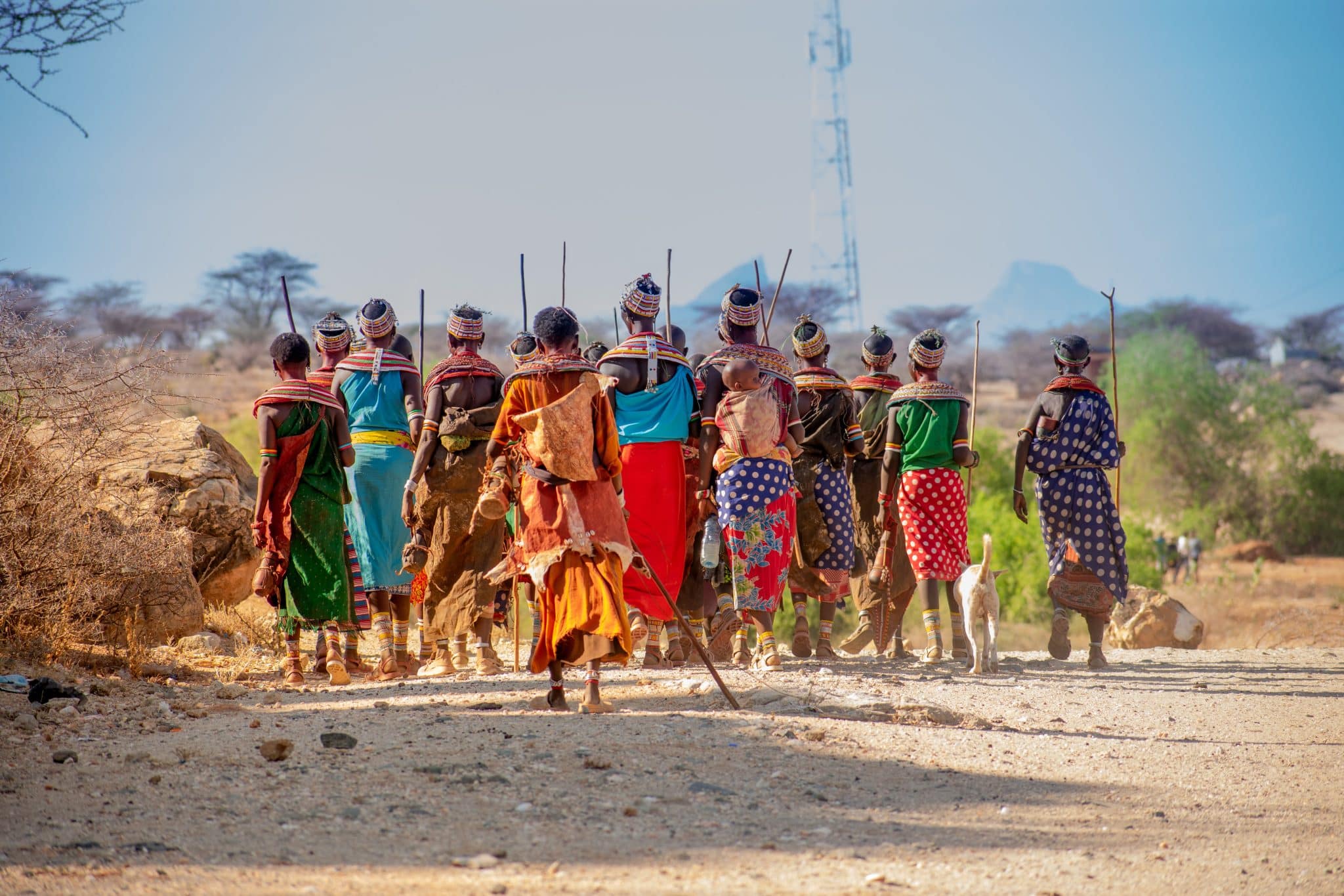 How Deforestation Impacts Indigenous Communities | Earth.Org