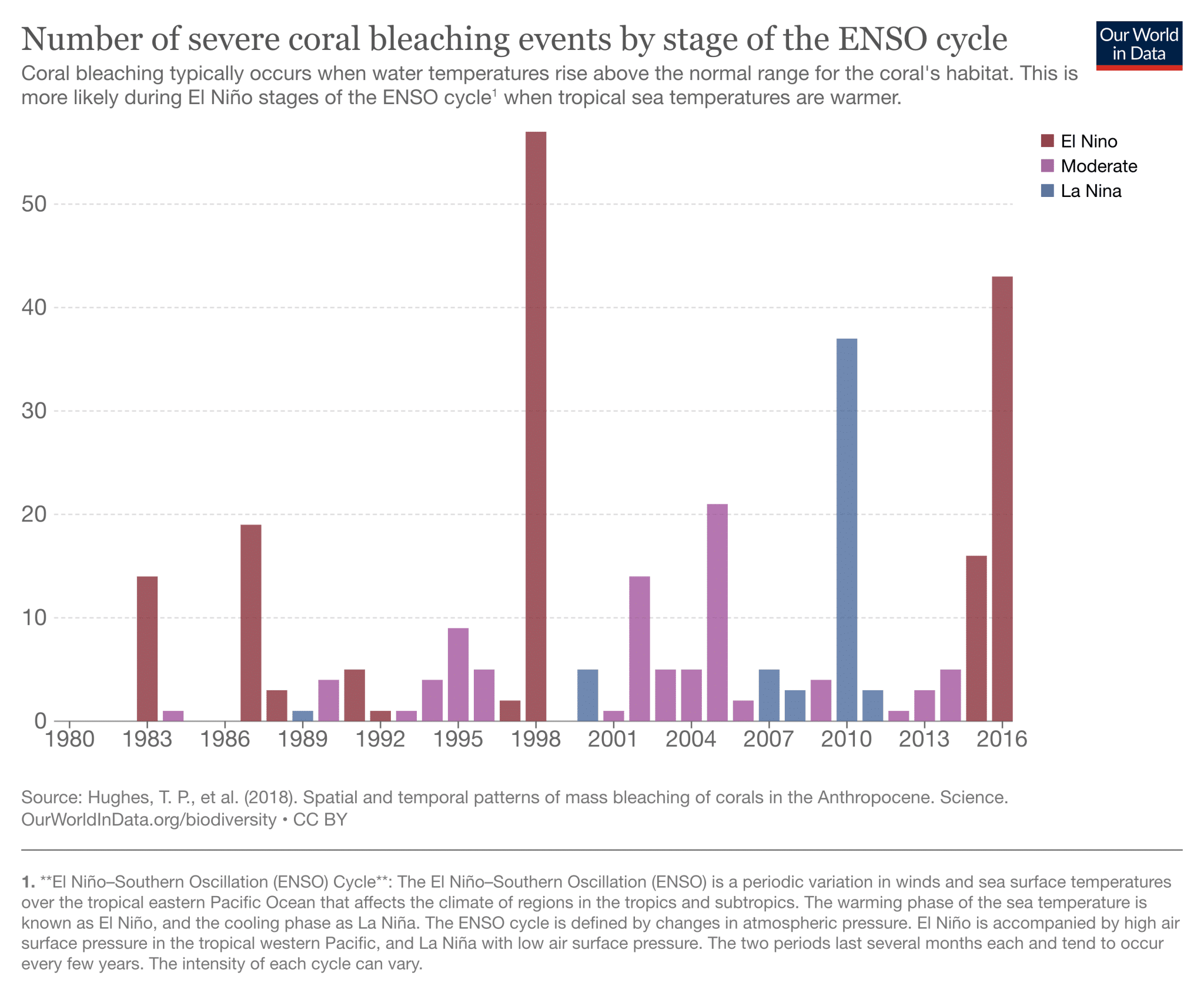Mass Coral Bleaching Event in Florida as Ocean Temperatures Exceed 100F ...