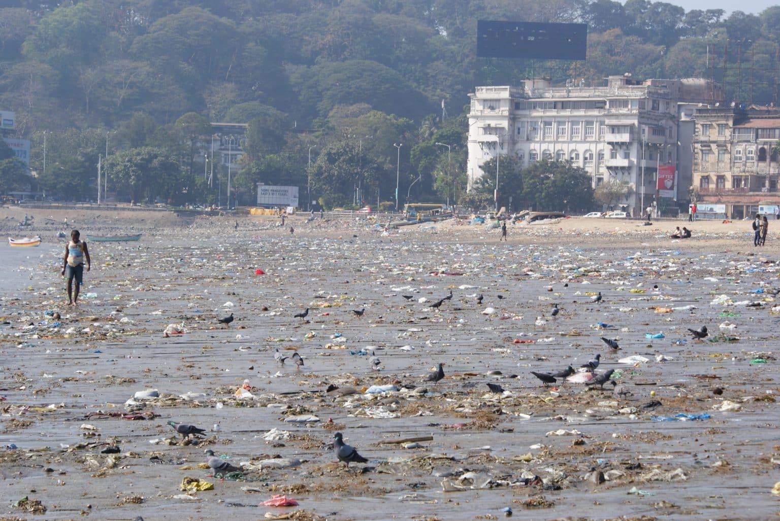 Confronting Marine Pollution for a Sustainable Tomorrow | Earth.Org
