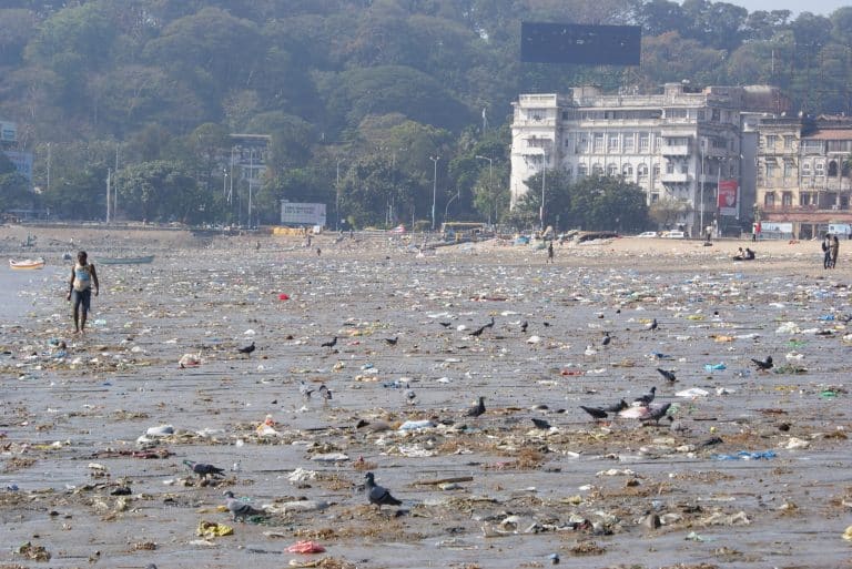 Confronting Marine Pollution for a Sustainable Tomorrow | Earth.Org