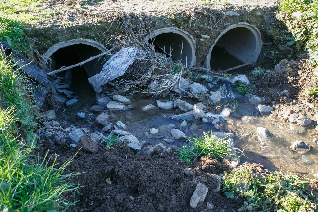 Exploring the Impacts of Water Pollution and Overuse | Earth.Org